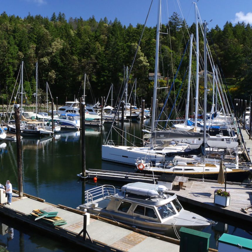 Pender Island Activities » WOODS on Pender